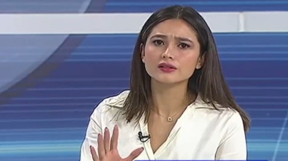 Karen Sichel, exvocera del referendo del Gobierno renunció