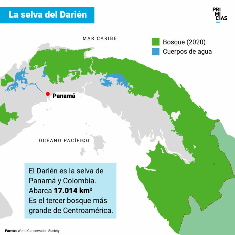 La historia real del Darién: entre pumas, ríos de muerte y narcos