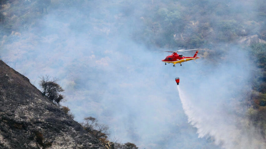 172 incendios forestales soportó Quito en los primeros ocho meses de 2023