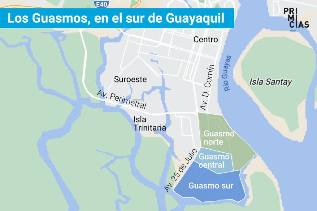¿Quiénes son Los Lagartos, grupo que desplaza a familias del sur de ...